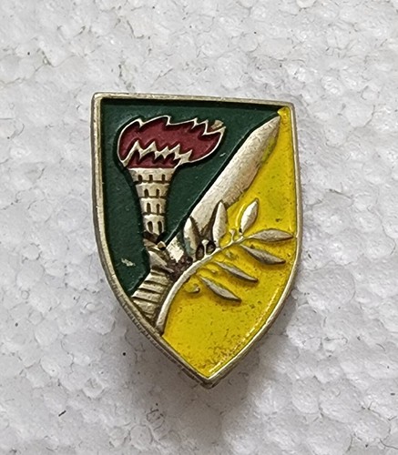 israel metal and enamel army IDF pin vtg | eBay