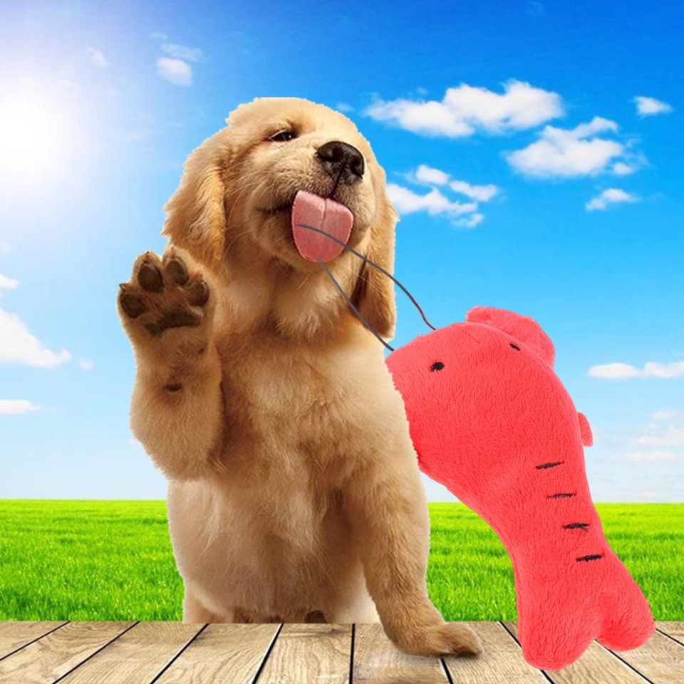 1PC Plush Dog Toys Cartoon Lobster Dog Squeaky Toys Dog Supplies (Red ...
