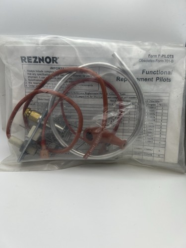 Reznor 110861 Spark Pilot Assembly Kit Natural Gas Horizontal Mount | eBay