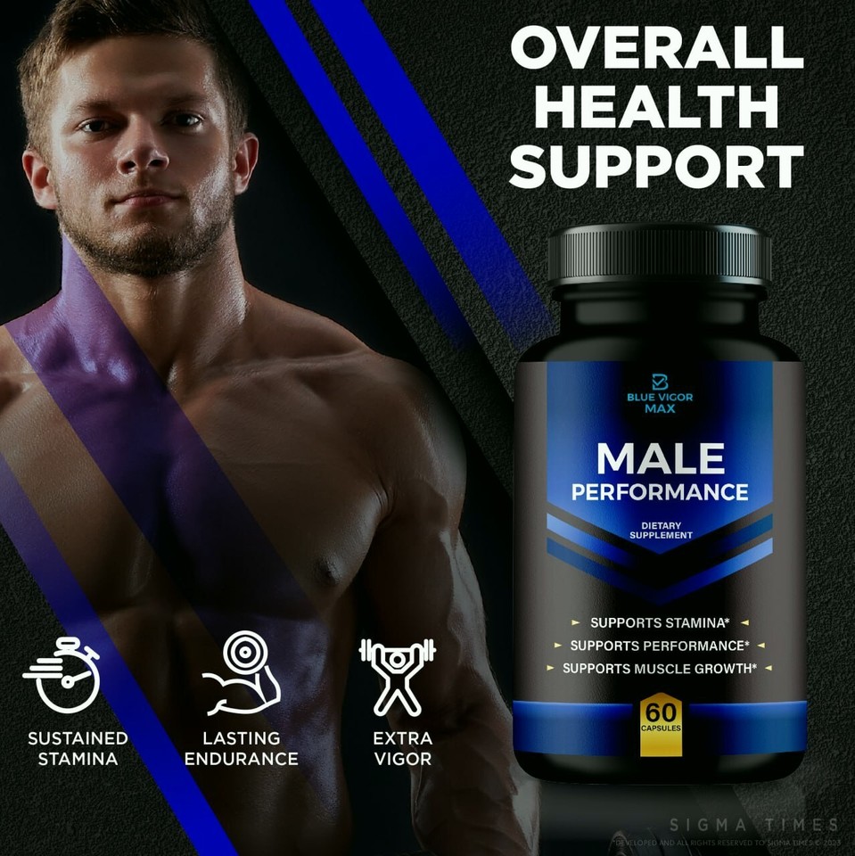 (2 Pack) Blue Vigor Max Pills for Men, Enhancement Pills for Male ...