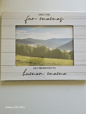 Picture Frame Only The Fur Mama's Get Promoted To Human Mama Frame Is ...