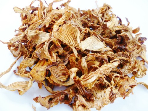 BIO Pilze Pfifferlinge Wildpilze echter Pfifferling getrocknet 500 g ...