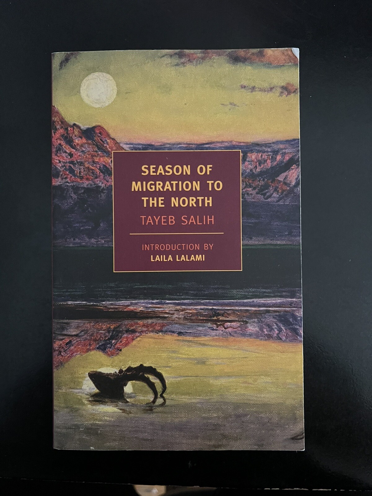 Season of Migration to the North by Tayeb Salih (2009, Trade Paperback ...