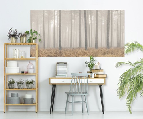 3D Forest Fog A084 Wall Stickers Wall Murals Wallpaper Assaf Frank Ann ...