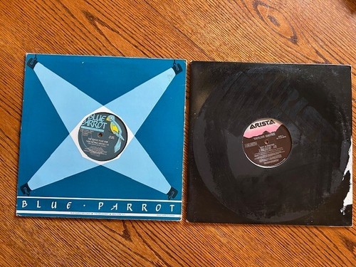 Taylor Dayne (07822-12882) & The Twins Plus Him (BP203) lot of 2 ...