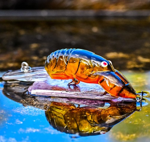 2 Cod Lures Bream Flathead Jacks Perch Redfin Yellowbelly Trout Salmon ...