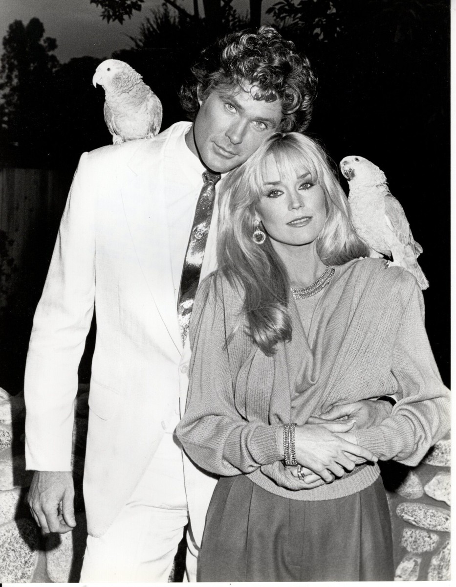 Catherine Hickland Et David Hasselhoff David Hasselhoff Is Engaged To