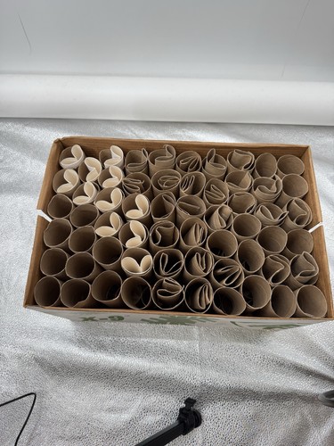 151 EMPTY TOILET PAPER ROLLS - TP Cardboard Tubes - Crafts, School ...