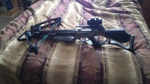 Barnett 78042 Wildcat C6 Crossbow Lightweight 4 x 32 Scope 3 Arrow ...