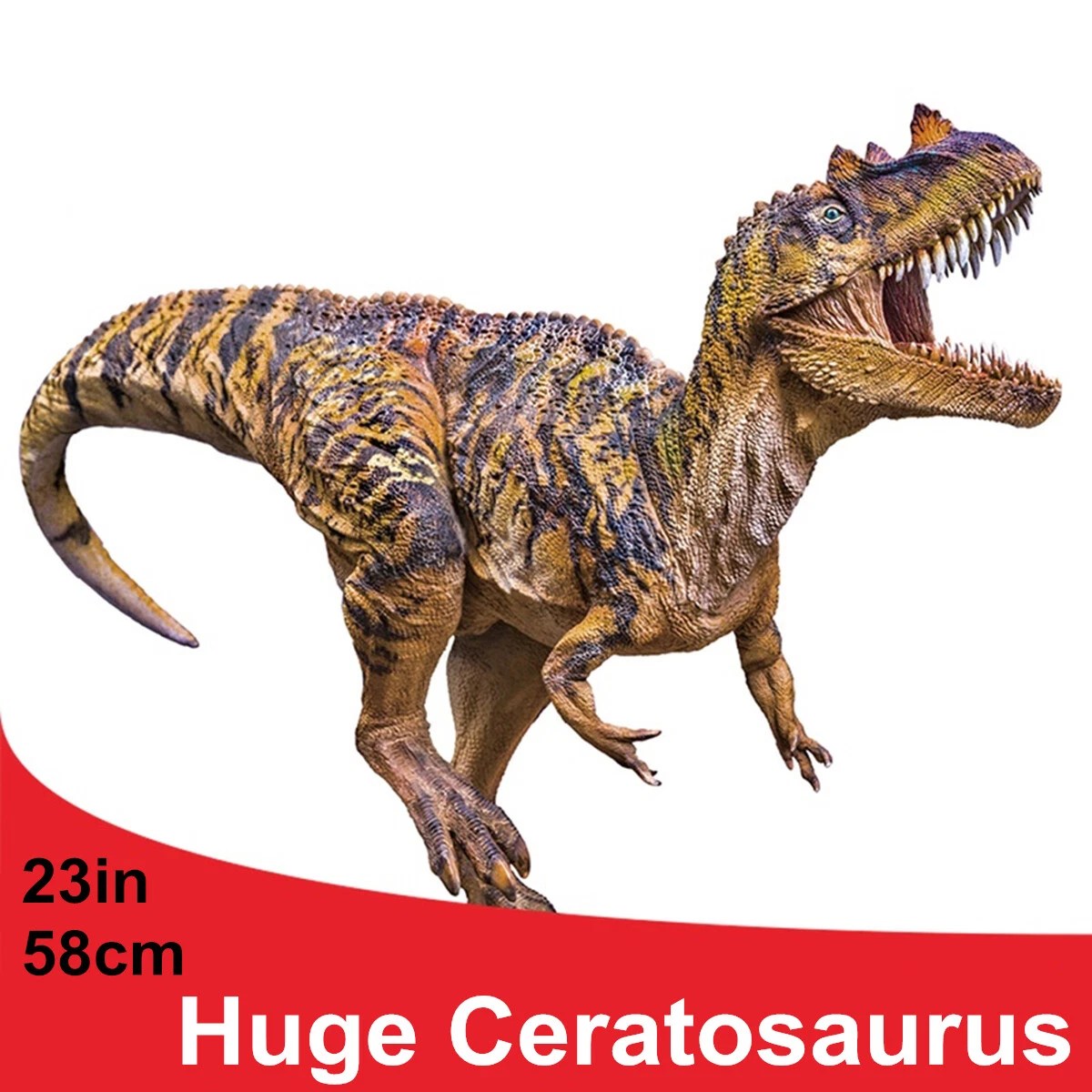 Ceratosaurus Size