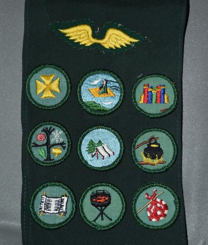 Vtg. Girl Scouts of America Sash w Merit Badges - GSA Michigan Pine ...