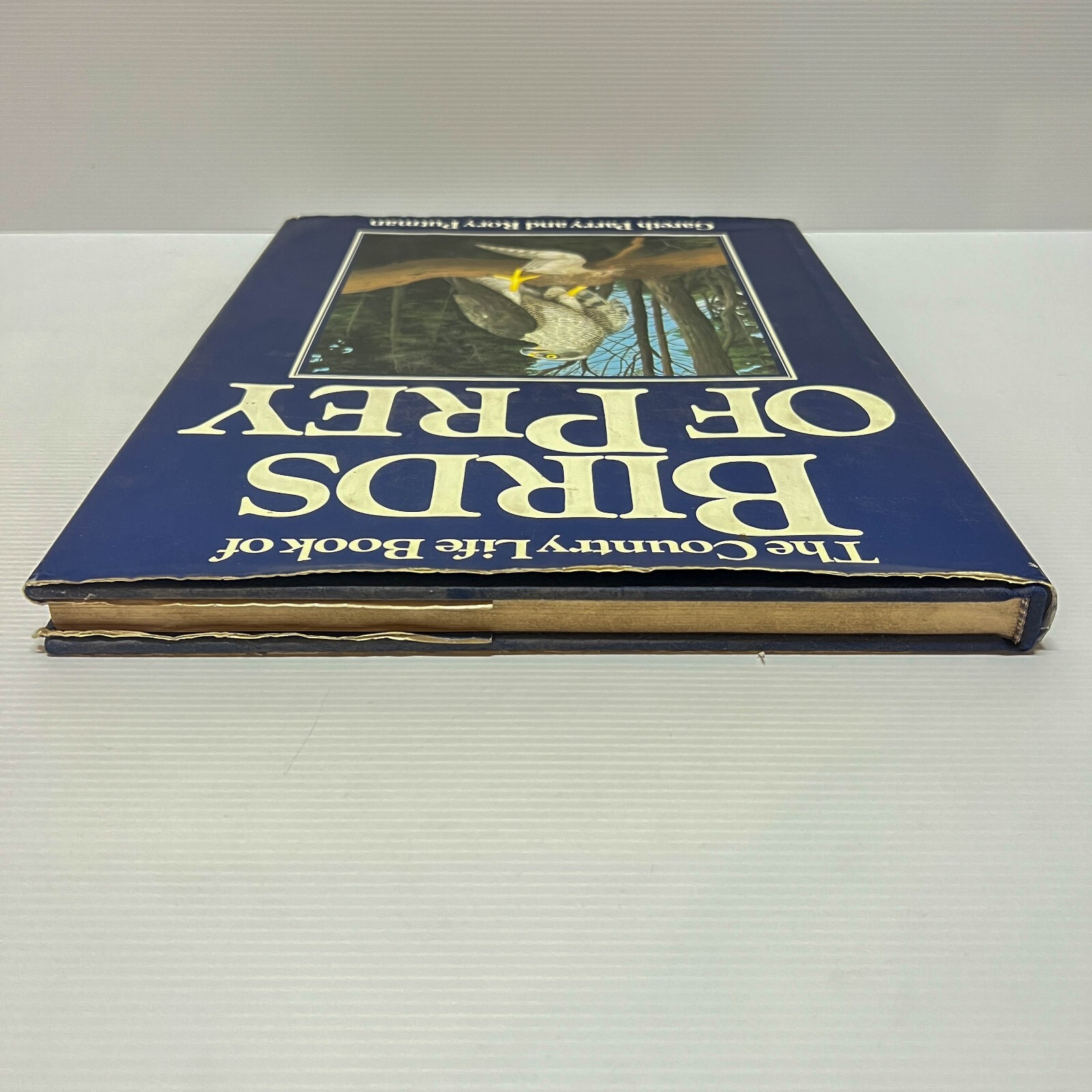 Birds of Prey by Gareth Parry, Rory Putman (Hardback, 1981) for sale ...