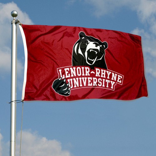 Lenoir Rhyne Bears Wordmark Flag Large 3x5 | eBay