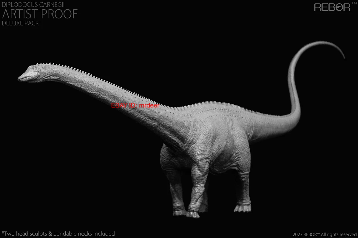 Diplodocus Head