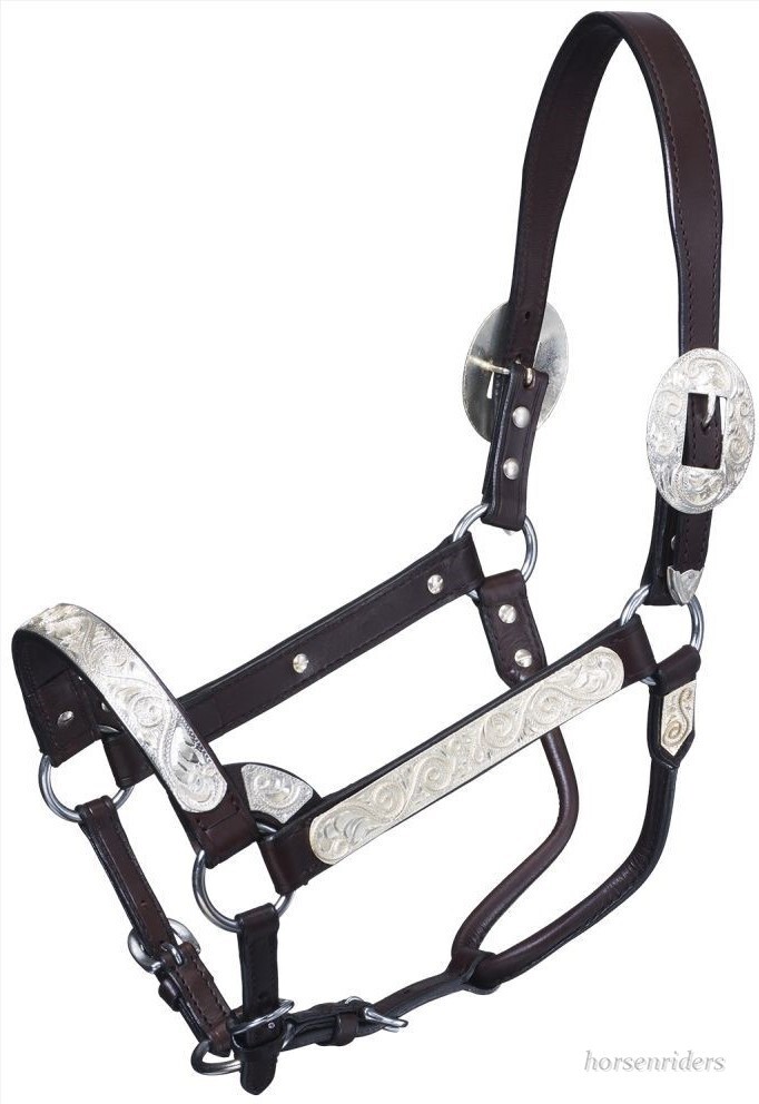 Silver Show Halter-Dark Oil Leather-Rope Design Horse Size-Matching ...