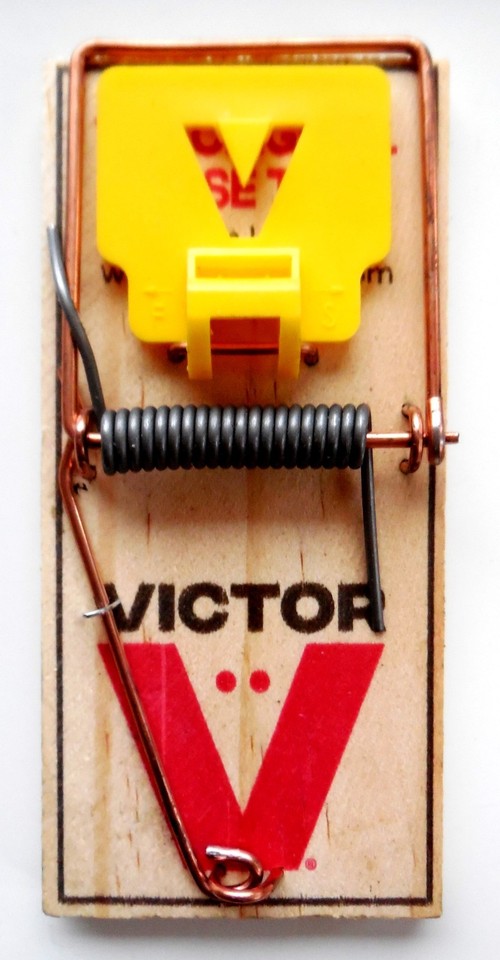 16 Victor Mouse Snap Traps with Plastic Trigger Plate - Models M035 ...