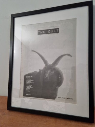 THE CULT Original framed promo ad poster. 1994.A3.Frame size 53cm x ...