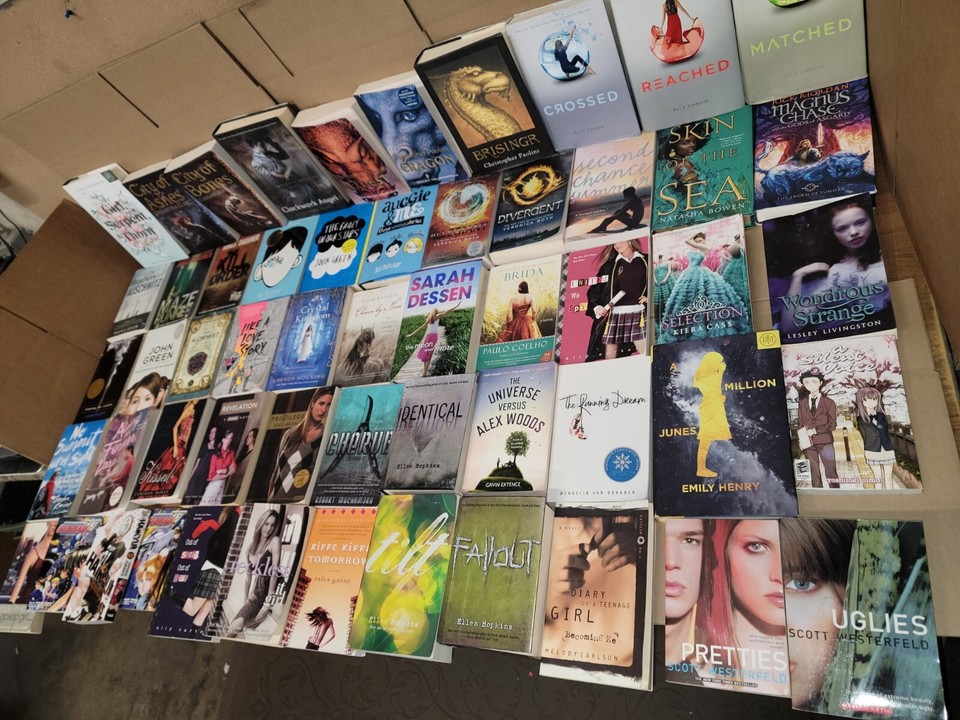 Lot of 20 Young Adults YA PRE-Teen Youth RANDOM STORY CHAPTER UNSORTED ...