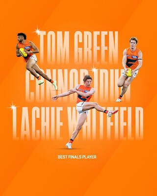 LAMINATED GWS GIANTS AFL FOOTBALL CHAMPION team player poster ,BARGAIN ...