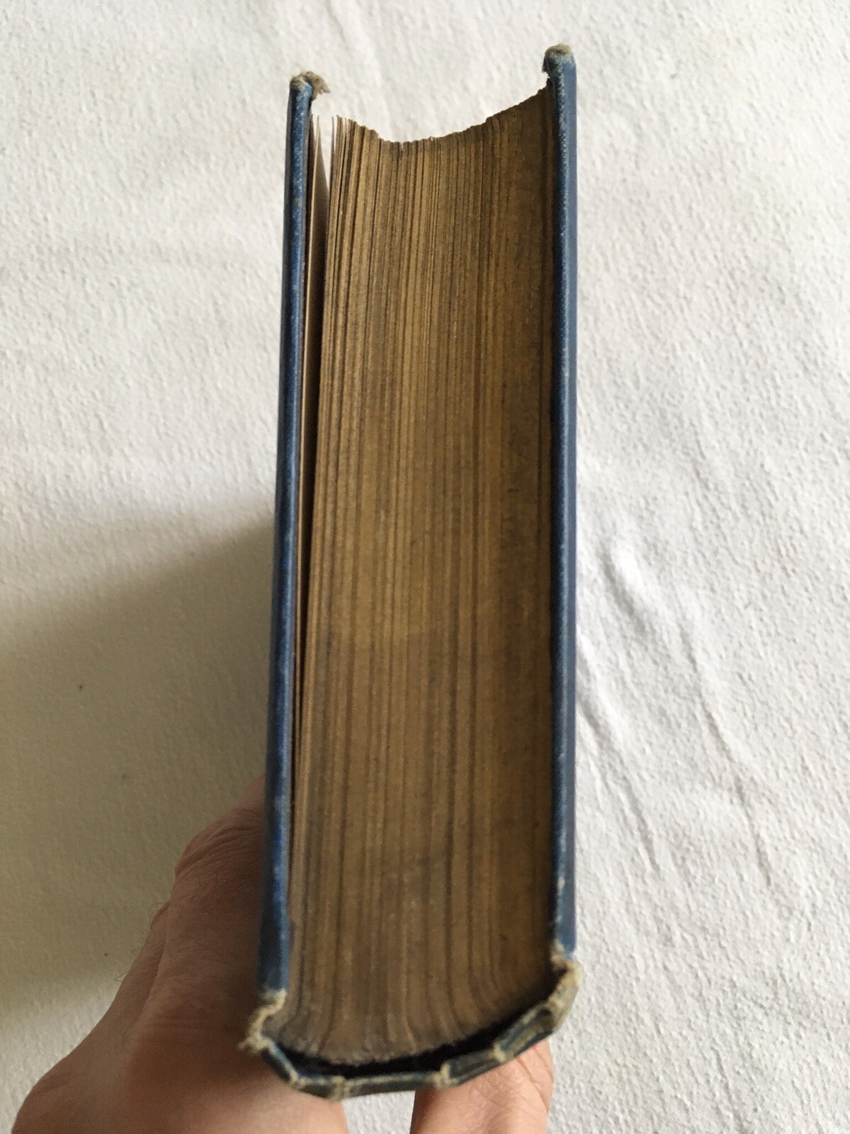 A MODERN TOMBOY by L. T. Meade Illustrated by Percy Tarrant Publisher ...