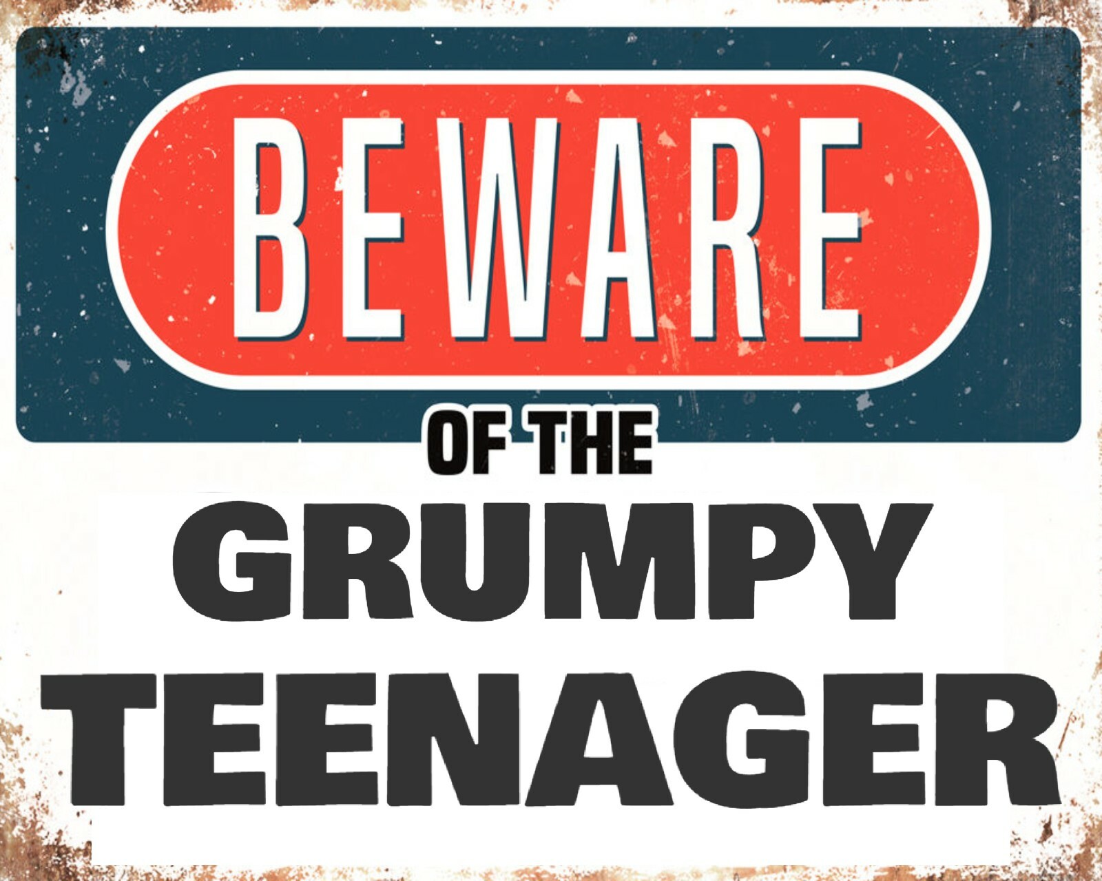 BEWARE OF THE GRUMPY TEENAGER SON DAUGHTER BEDROOM METAL PLAQUE DOOR ...