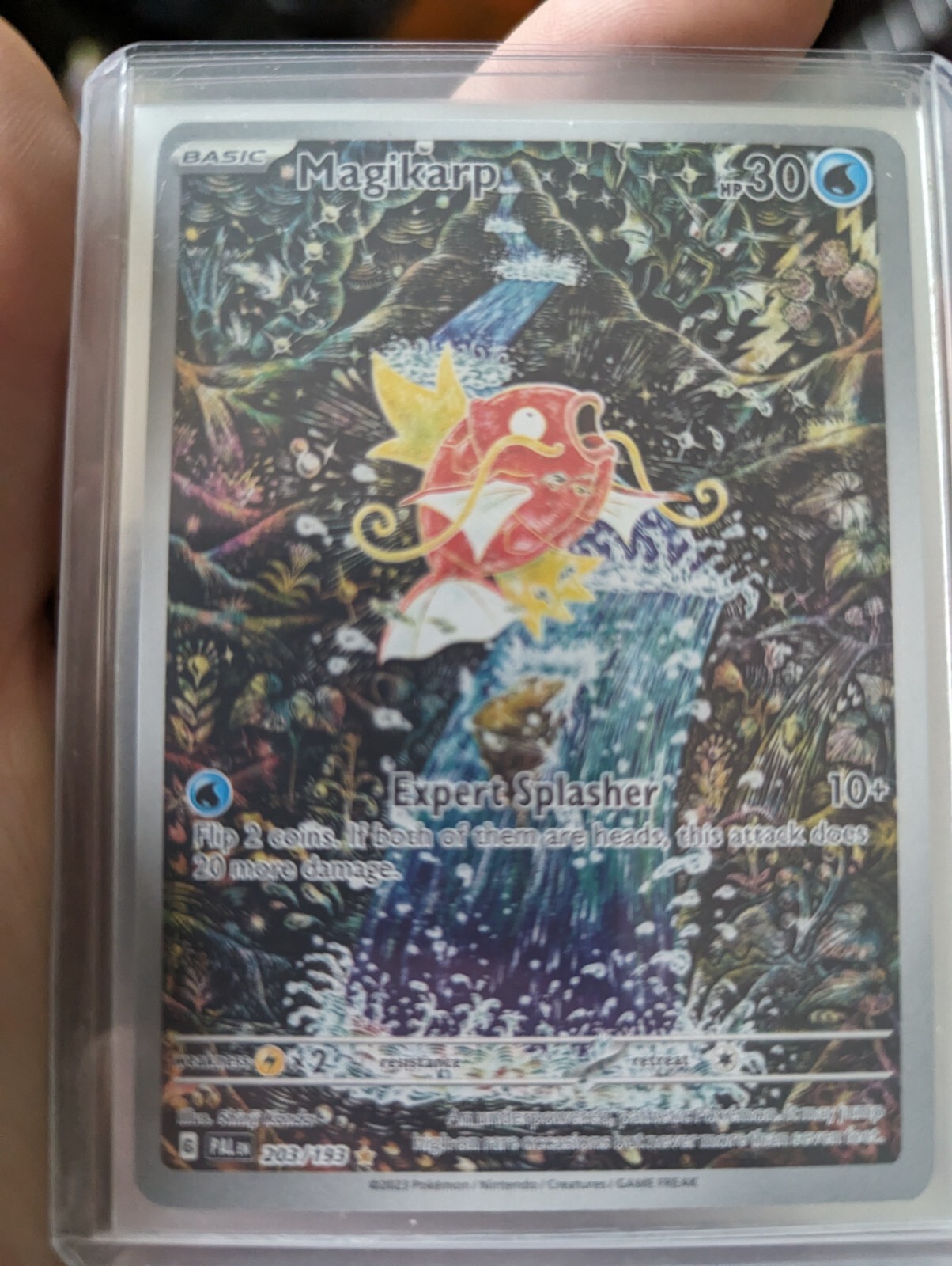 MAGIKARP 203/193 PALDEA EVOLVED POKEMON (ILLUSTRATION RARE, NM) | eBay