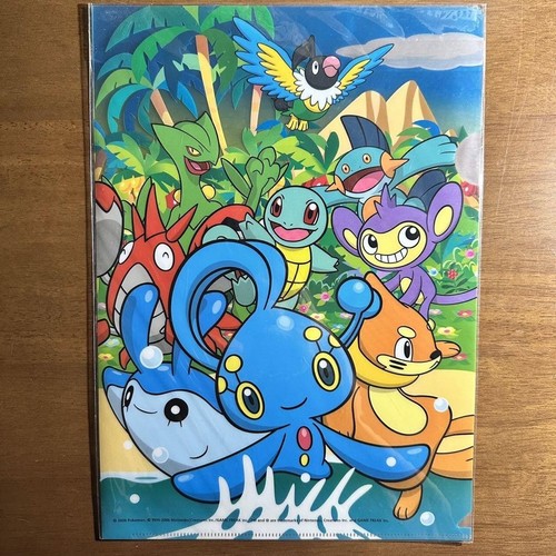 Pokemon A4 Clear File | eBay