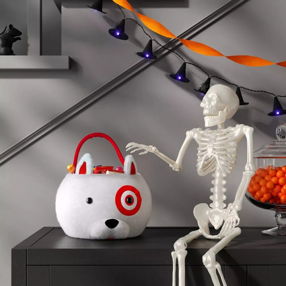 Target Bullseye Dog Halloween Trick or Treat Basket Red/White Hyde and ...