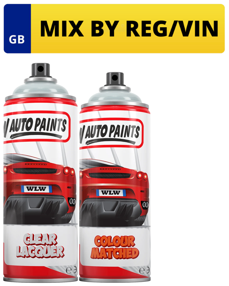 Aerosol Spray Paint Kit Mixed By Car Registration Reg VIN Plate Chassis ...