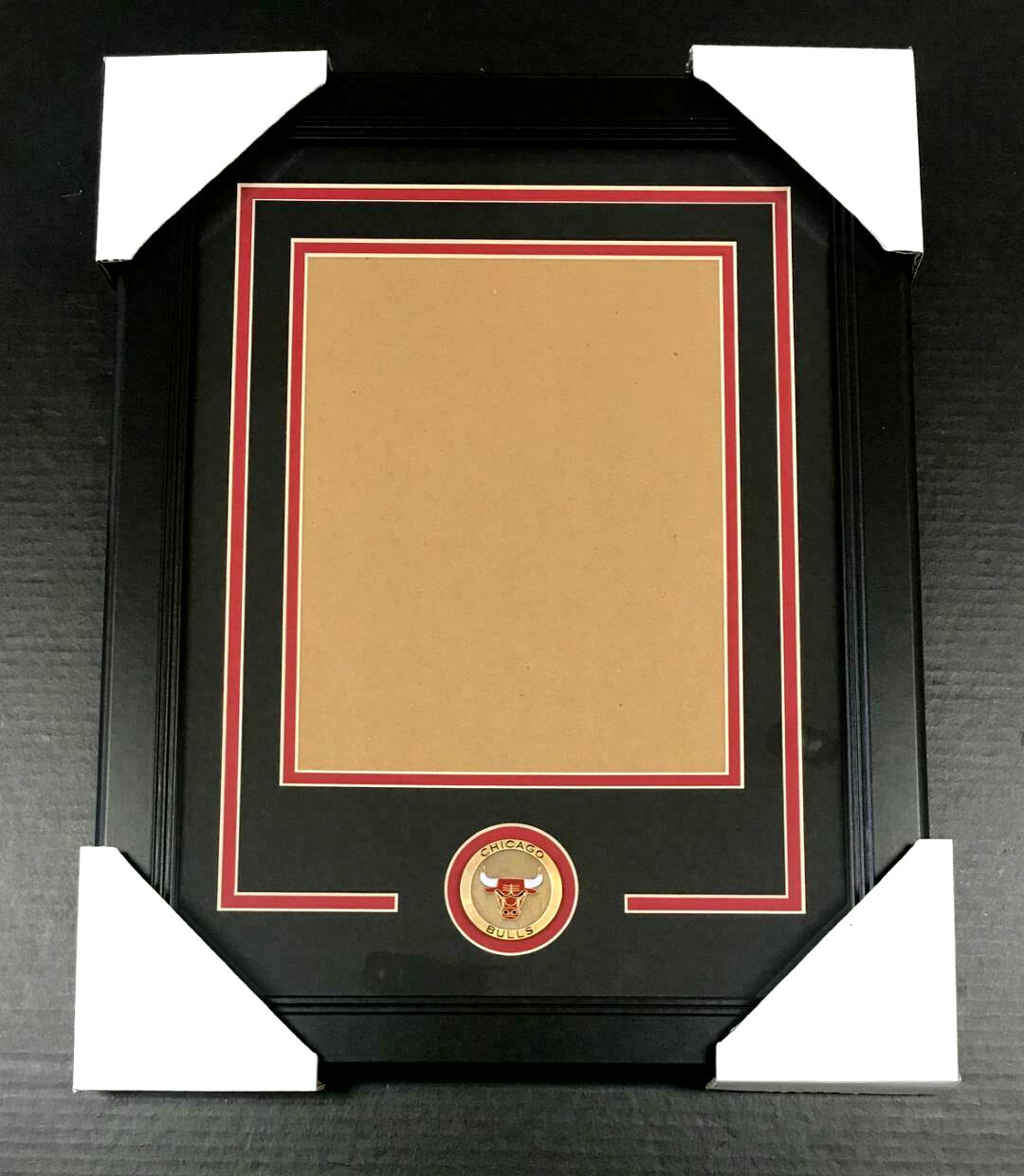 CHICAGO BULLS Medallion Frame Kit 8x10 Photo Double Mat VERTICAL | eBay