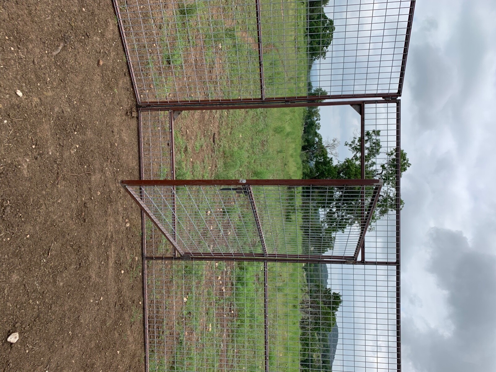 Wireless Cell Phone Activated Hog Trap (camera only) | eBay