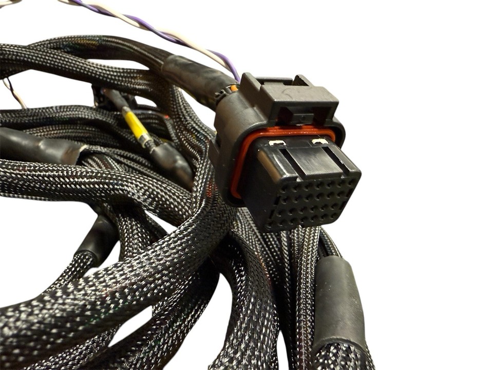 K20 K24 FT450 Fuel Tech K Series Tucked Engine Harness | For Honda ...