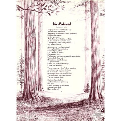 The Redwood Kathleen M. White Tree Forest 1970s Poem Retro Kitsch Wall ...