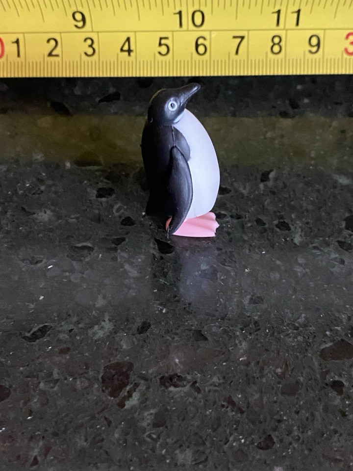 Penguin RAMP WALKER | eBay