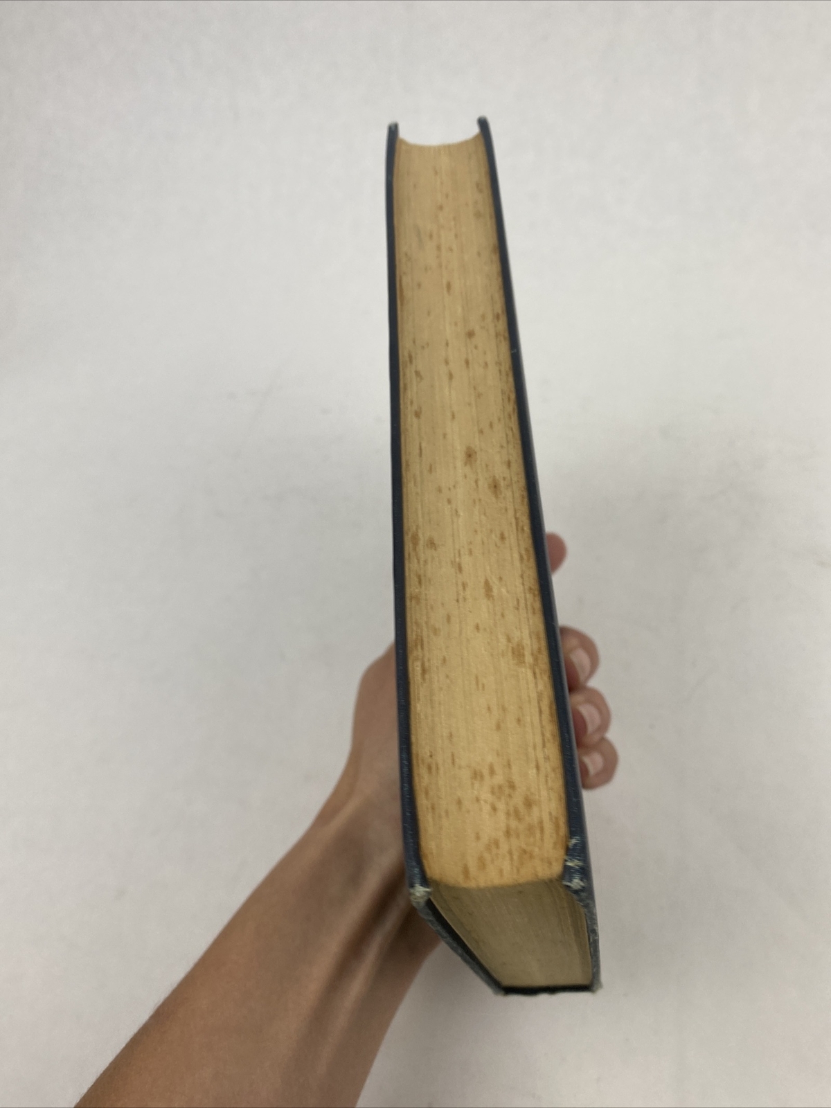 1916 The Annotated Bible The Holy Scriptures Analysed Gaebelein Vol 2 ...