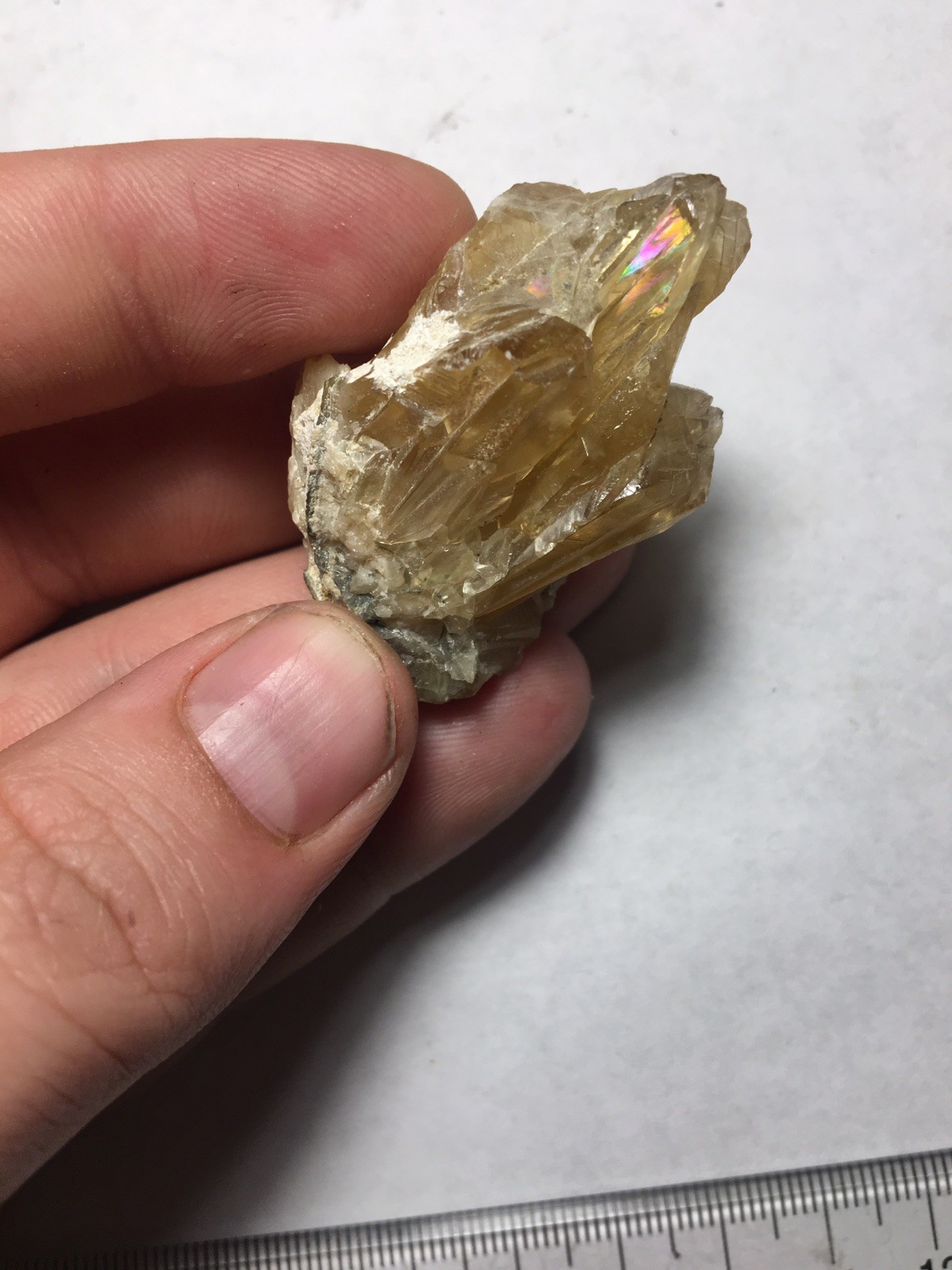 Fossil Clam Shell Calcite Crystals Fluorescent Cluster Rainbow From ...