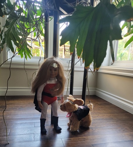 Maplelea Canadian Girl™ Super Hero Set, Doll Not Included | eBay