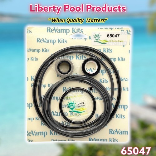 Sta-Rite DynaGlas DynaMax J Series Swimming Pool Pump Seal Kit GO-KIT ...