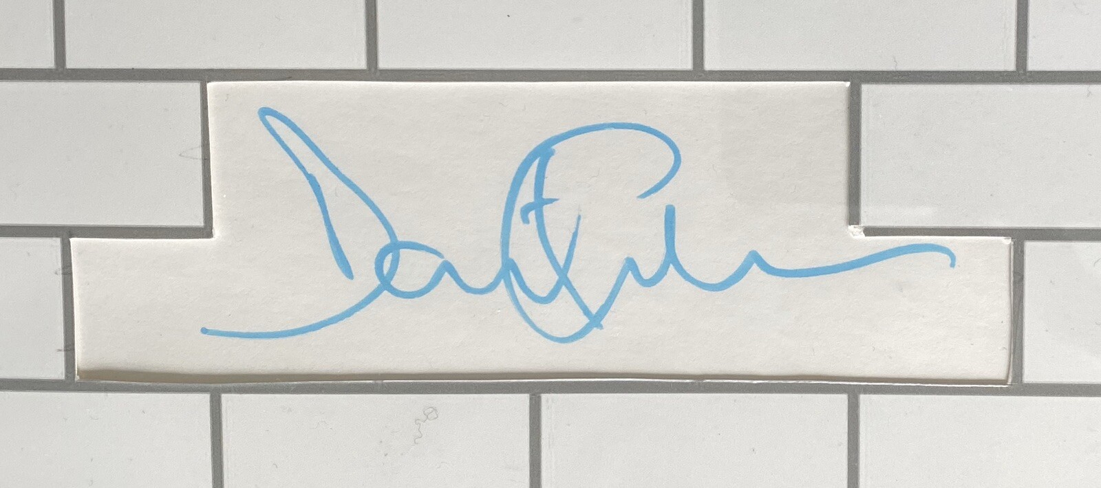 Pink Floyd Signed Record Display David Gilmour Autograph Nick Mason ...