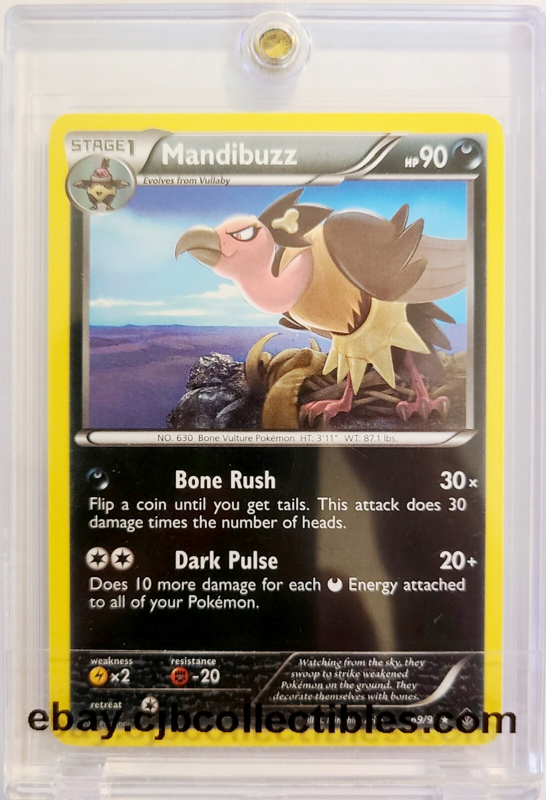 Pokemon Mandibuzz