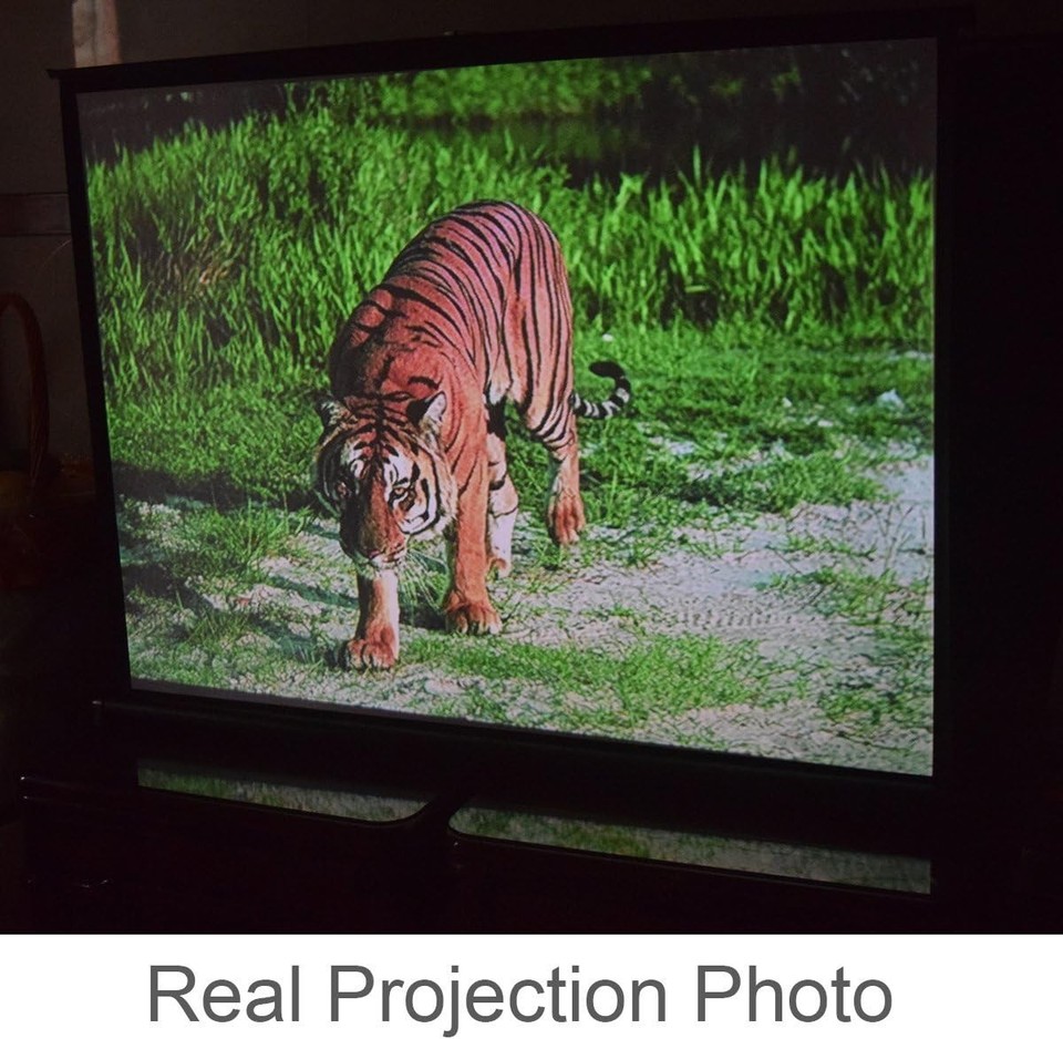 Cocar 40" Portable Projection Screen for Mini/Professional LED/LCD/DLP ...
