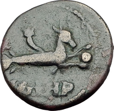 ELAGABALUS 218AD Genuine Parion Parium Mysia Ancient Roman Coin ...