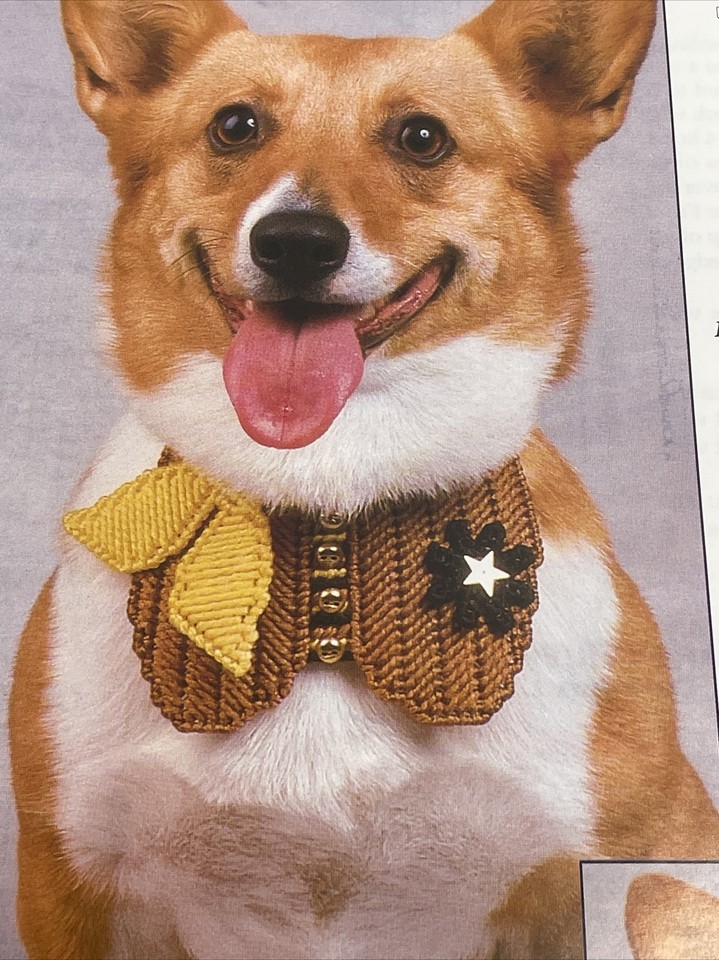 Annie's Attic Pet Collars Western & Bow Plastic Canvas Pattern | eBay