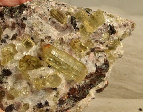 #5590 Apatite-Durango, Mexique-Qualité gemme - Chargé de cristaux ...