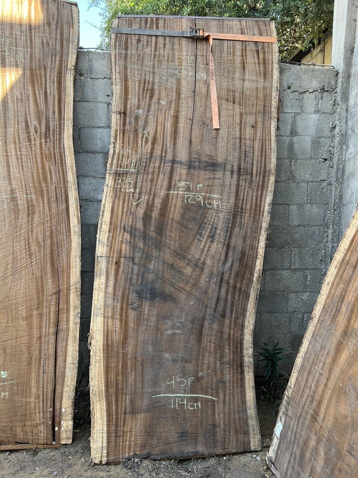 Live Edge Parota Wood Table Top | eBay