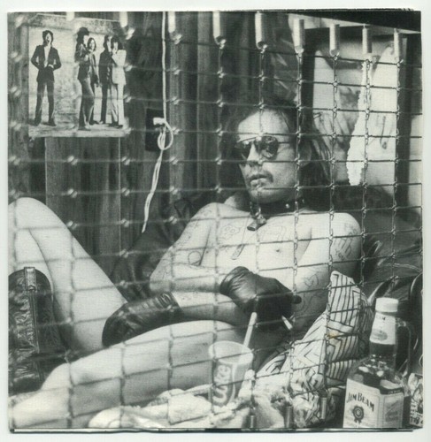 GG ALLIN & THE AIDS BRIGADE Expose Yourself To Kids 7" RARE HOMESTEAD ...