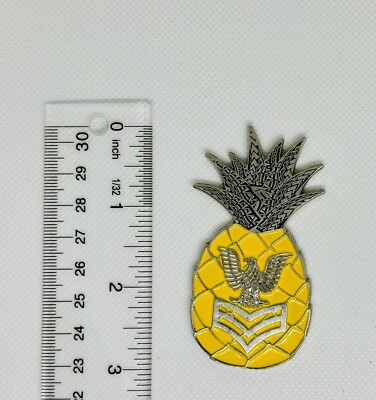 US Navy FCPOA Hawaii JBPHH OAHU Challenge Coin Pineapple | eBay