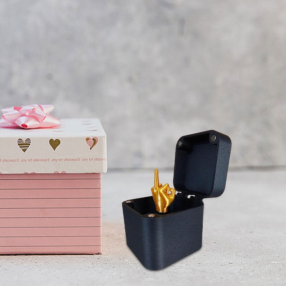 Middle Finger in a Box, Only for You Middle Finger, Fun Prank Gift AE ...