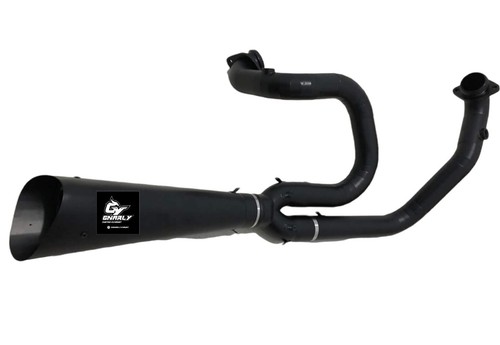 Exhaust Systems Black Mamba 2 into 1 Fits for Harley V-ROD VRSC | eBay