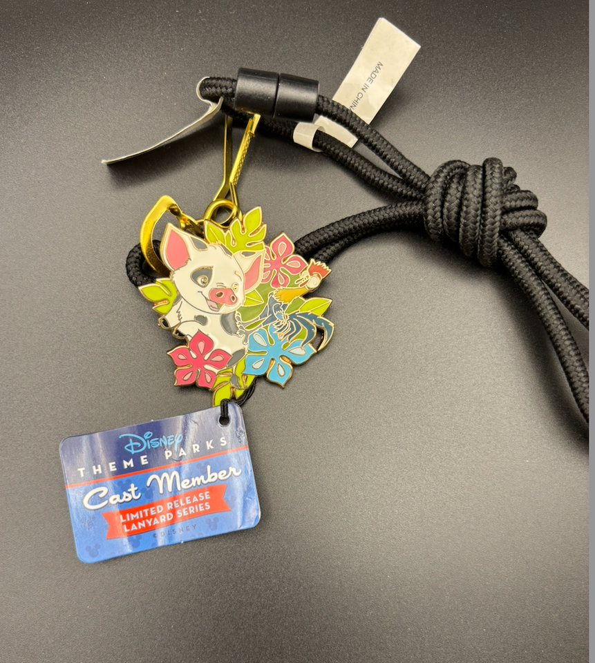 Disney Lanyard ID Cast Member Exclusive Moana Pua HeiHei Pin Limited Release | eBay